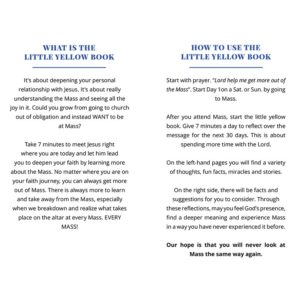 “Little Yellow Book”
